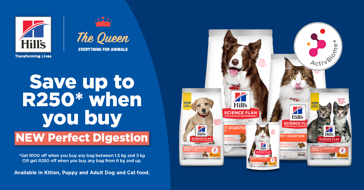 Dry Dog Food – The Queen Pet Shop
